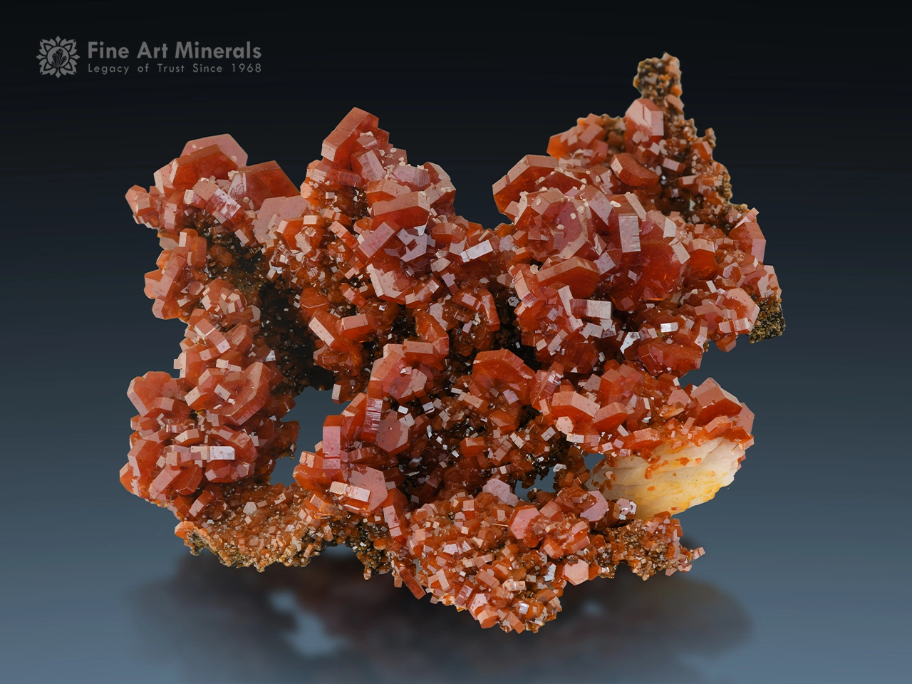 Vanadinite - VND-08 - Morocco Mineral Specimen